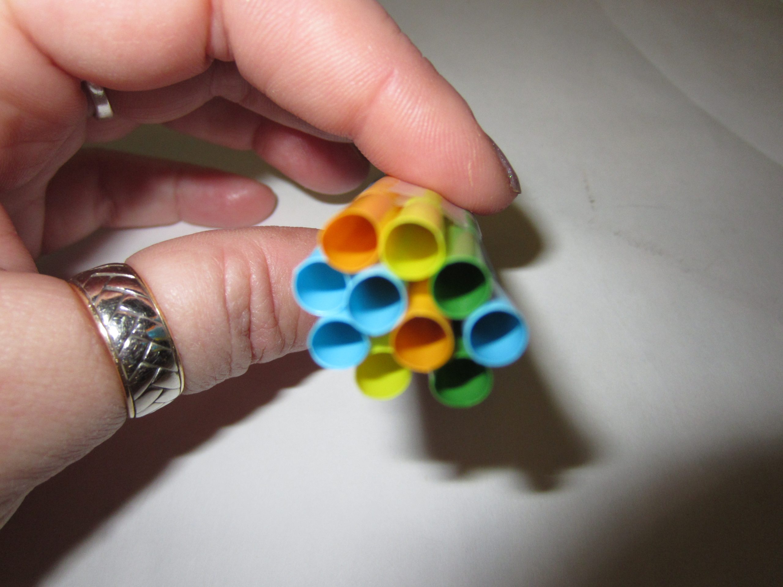 34 Science-Bugs compound eyes « NutBugs