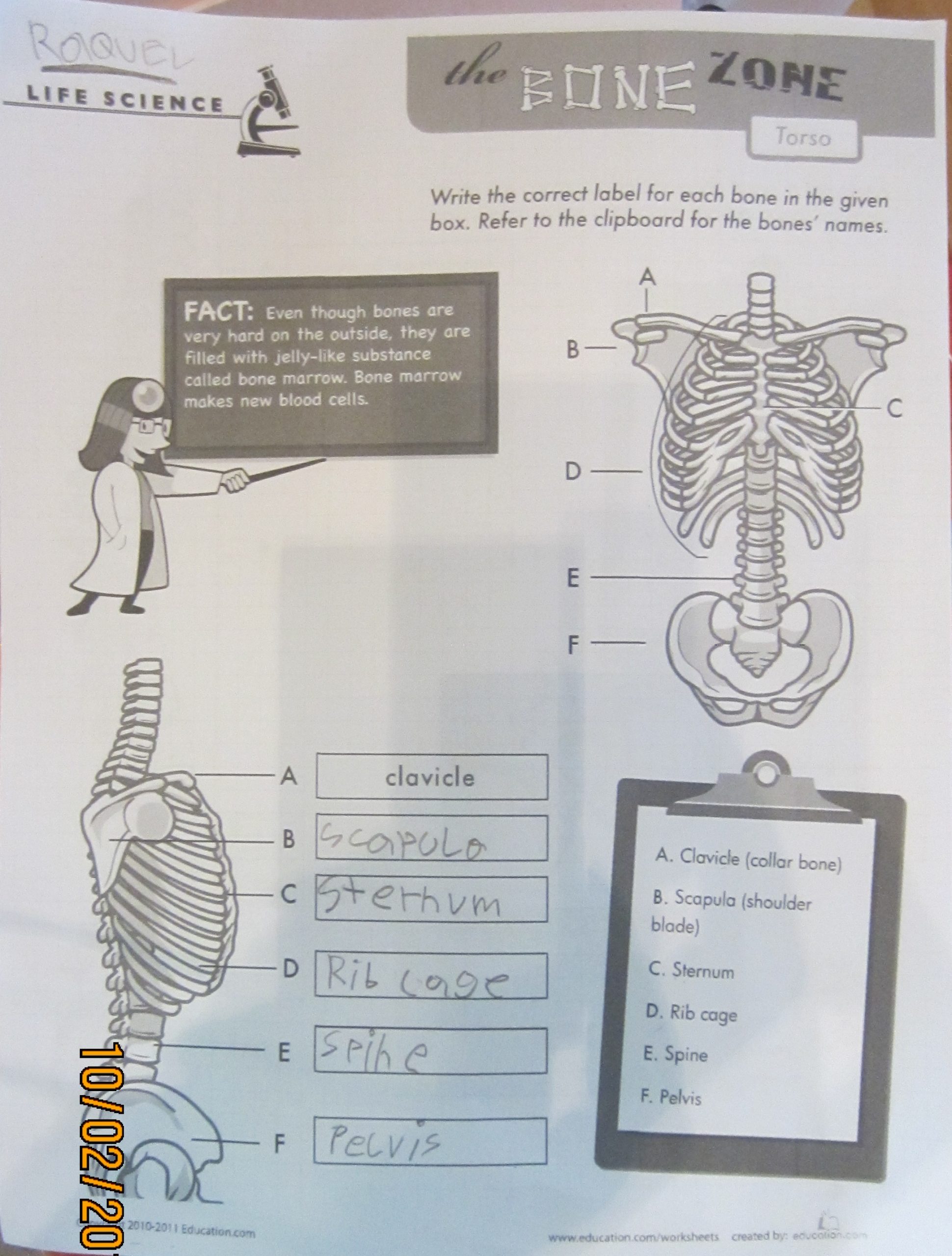 Science R-Bone Book (3) « NutBugs